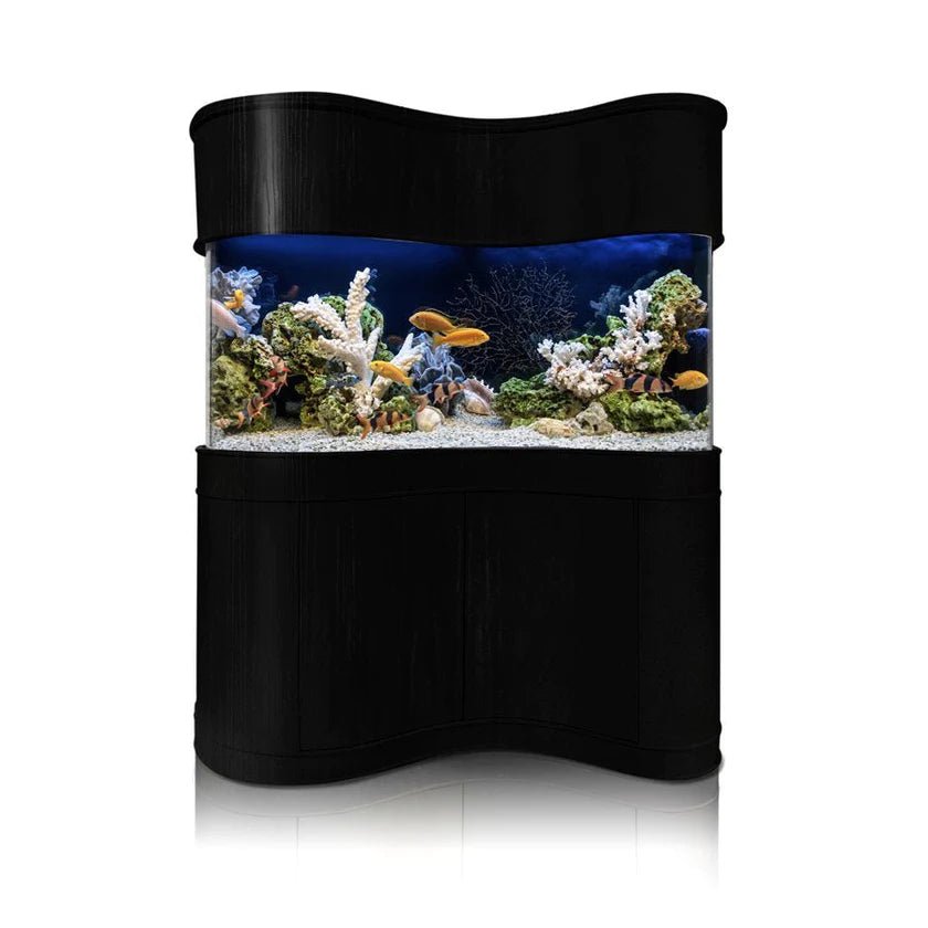 250g Wave Glass Reef-Ready Aquarium Set in Black – AQUA VIM