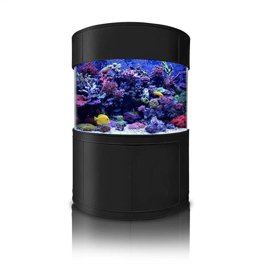 120g 1/2 Cylinder Glass Reef-Ready Aquarium Set in Black – AQUA VIM