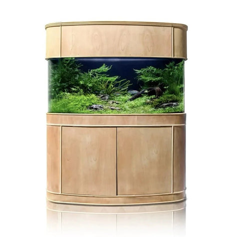 Luxury Aquarium · Cylinder Corner RR Aquariums & Fish Tanks • AQUAVIM ...