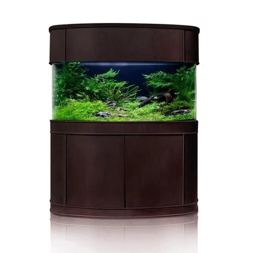 215g Seamless Glass Bowfront Reef-Ready Aquarium Set in Walnut – AQUA VIM