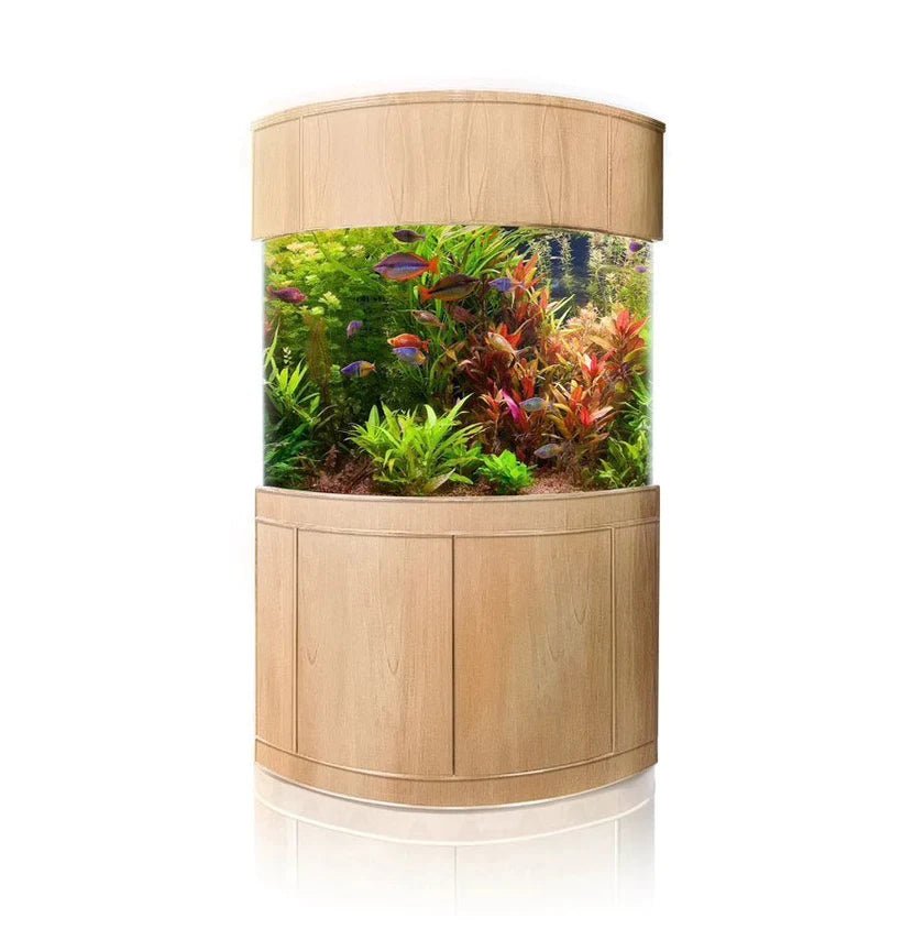 Luxury Aquarium · Cylinder Corner RR Aquariums & Fish Tanks • AQUAVIM ...