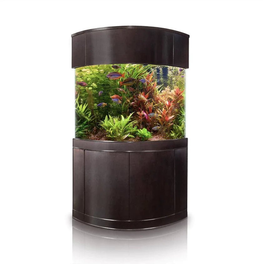 440g Corner 1/4 Cylinder Glass Aquarium Set in Walnut Wood Furniture ...
