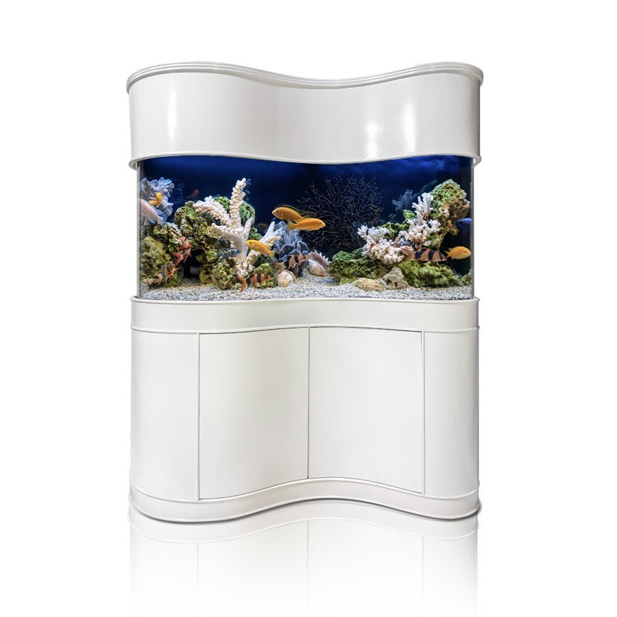 Curved Glass Wave Reef-Ready Aquarium | Luxury Home Fish Tanks - AQUA VIM