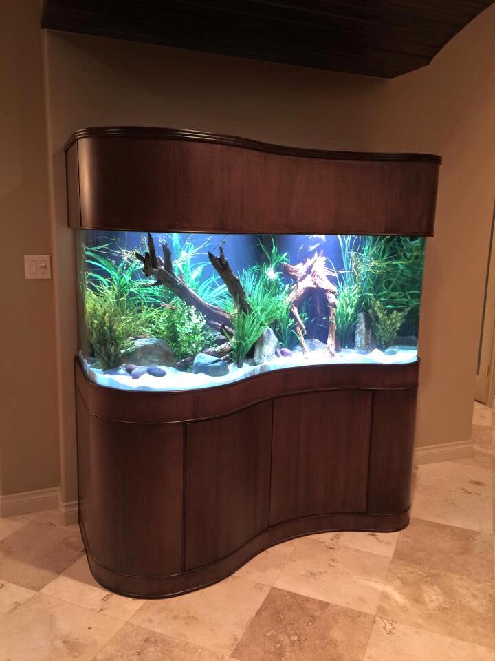 Curved Glass Wave Reef-Ready Aquarium | Luxury Home Fish Tanks - AQUA VIM