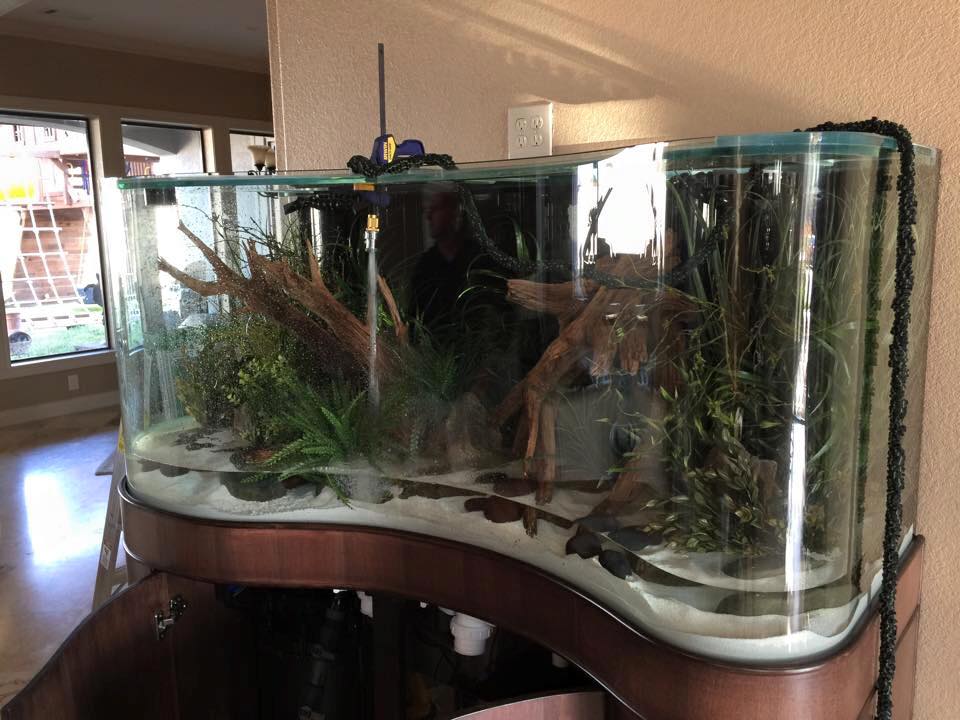 Curved Glass Wave Reef-Ready Aquarium | Luxury Home Fish Tanks - AQUA VIM